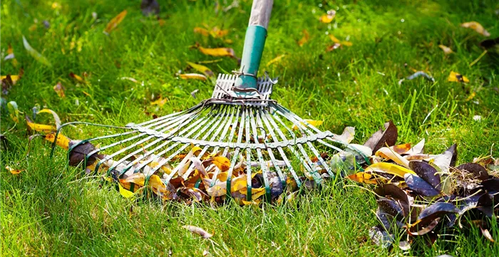 Rasenpflege im Frühjahr: Mähen, Düngen, Vertikutieren - Weingärtner